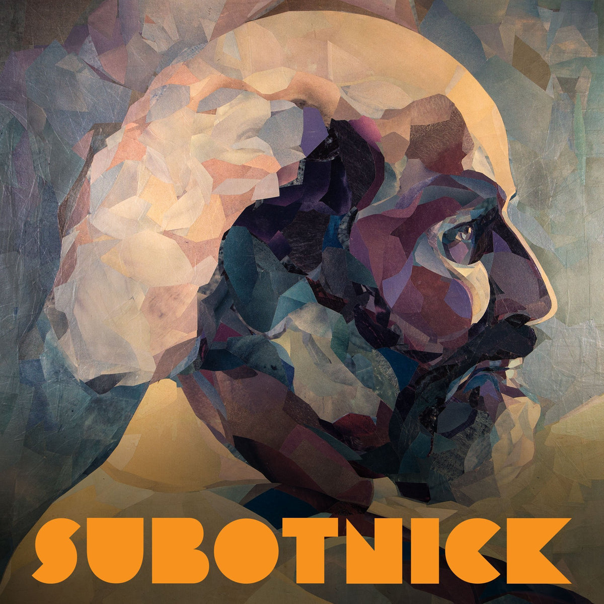 Subotnick – suction-eu